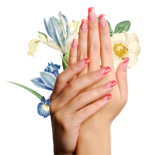 Collate Nails | Home